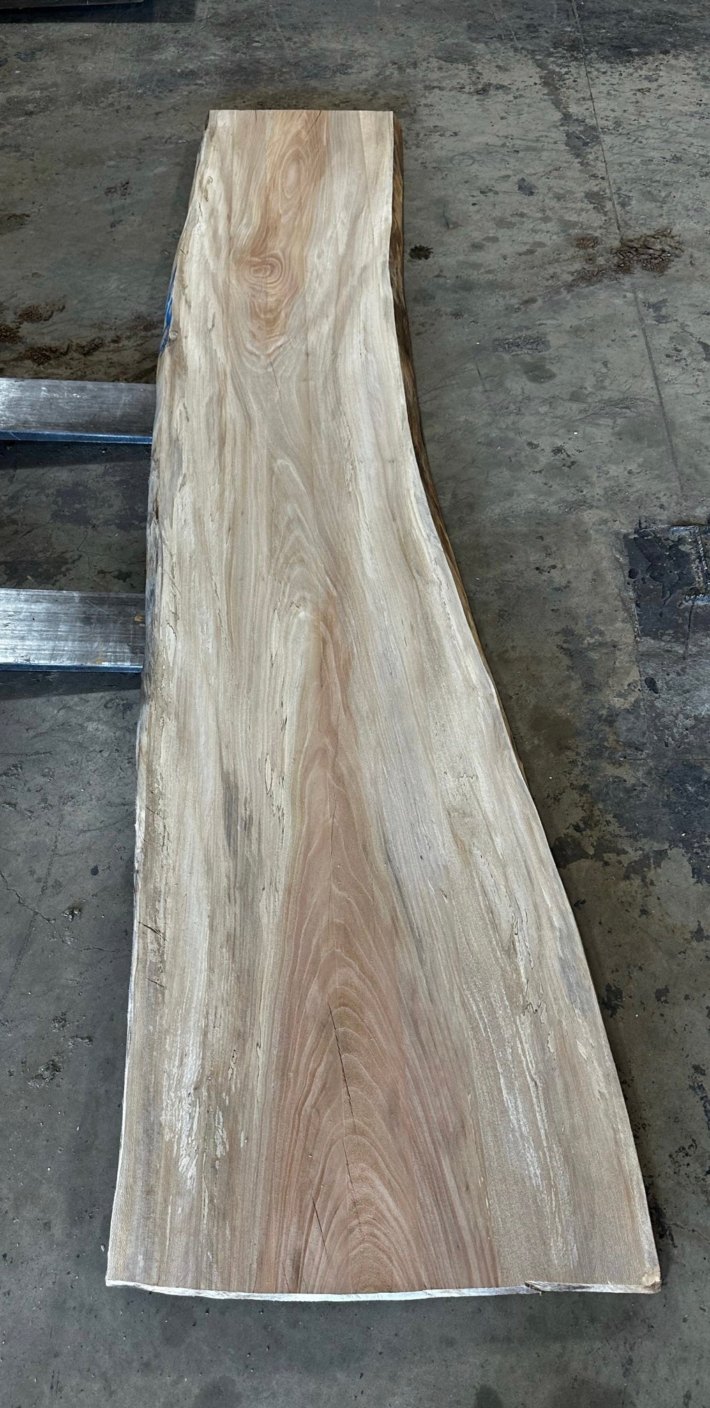 Unfinished Live Edge Sycamore Slab (ULES-2330) | The Forest Store