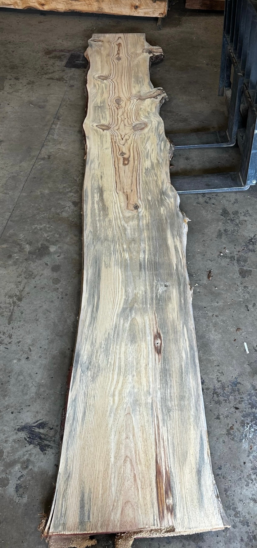 Unfinished Live Edge Pine Slab (ULES-2891) | The Forest Store