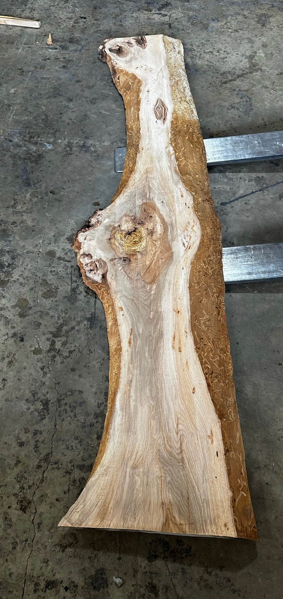 Unfinished Live Edge Pecan Slab (ULES-2327) | The Forest Store