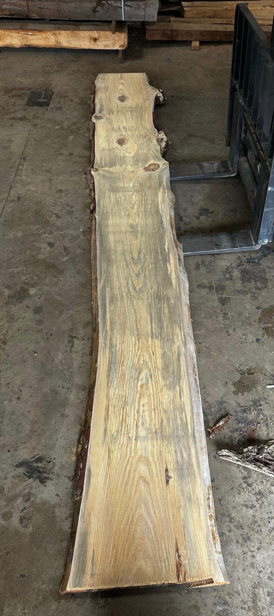 Unfinished Live Edge Pine Slab (ULES-2892) | The Forest Store
