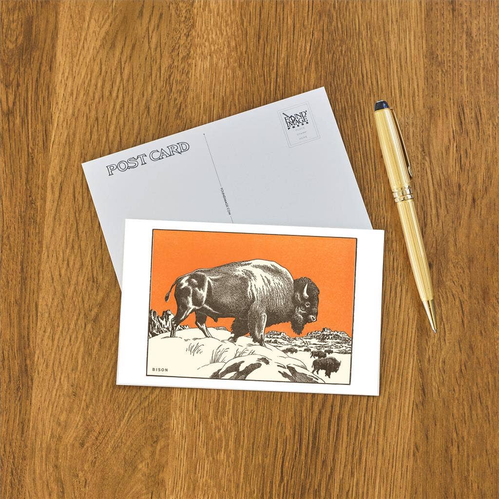 Found Image Press - Postcard WD-27 Bison | The Forest Store