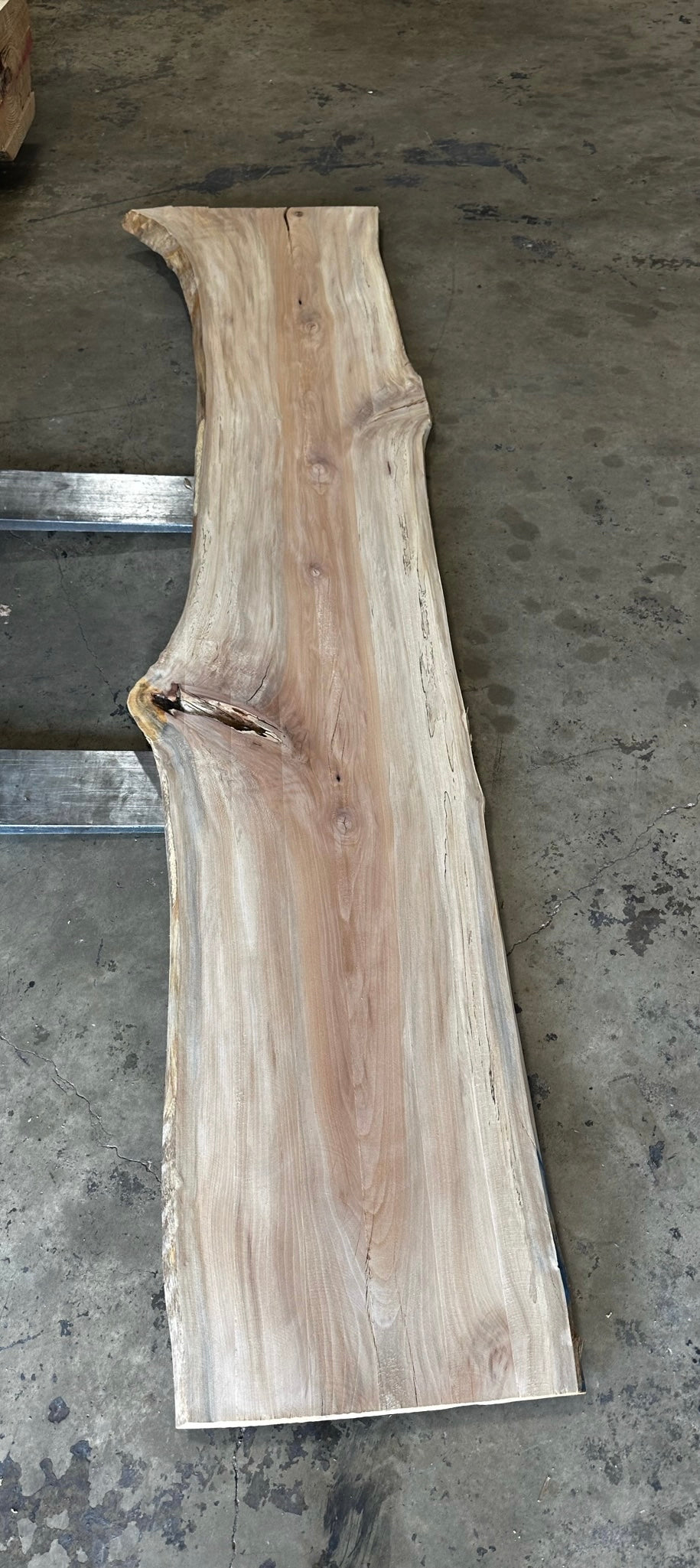 Unfinished Live Edge Sycamore Slab (ULES-2897) | The Forest Store