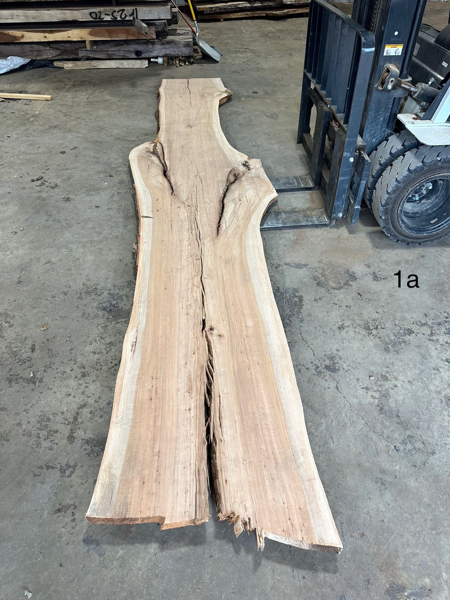 Unfinished Live Edge Pecan Slab (ULES-2913) | The Forest Store