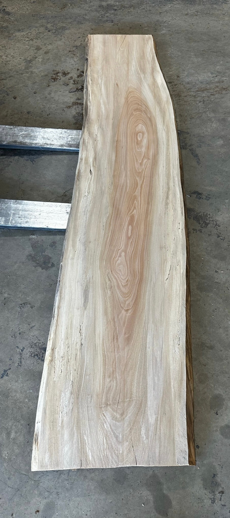 Unfinished Live Edge Sycamore Slab (ULES-2334) | The Forest Store