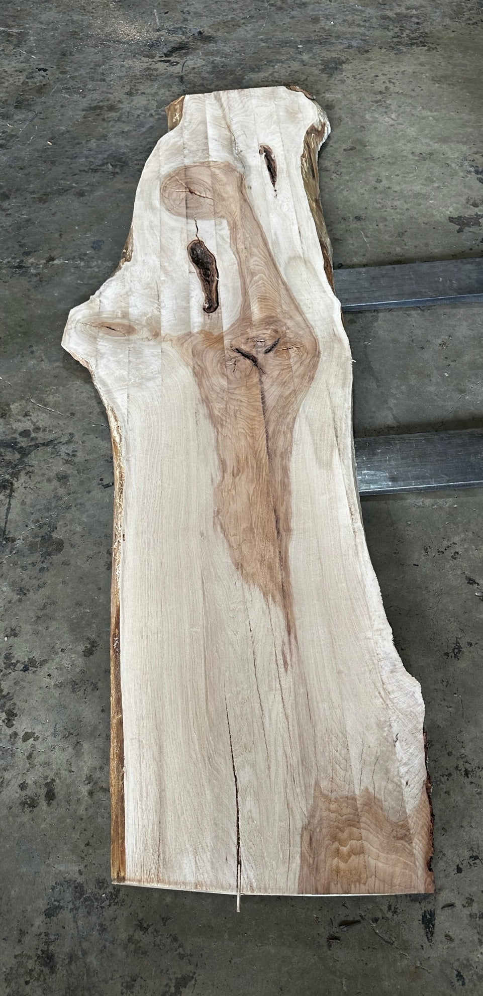 Unfinished Live Edge Pecan Slab (ULES-2328) | The Forest Store