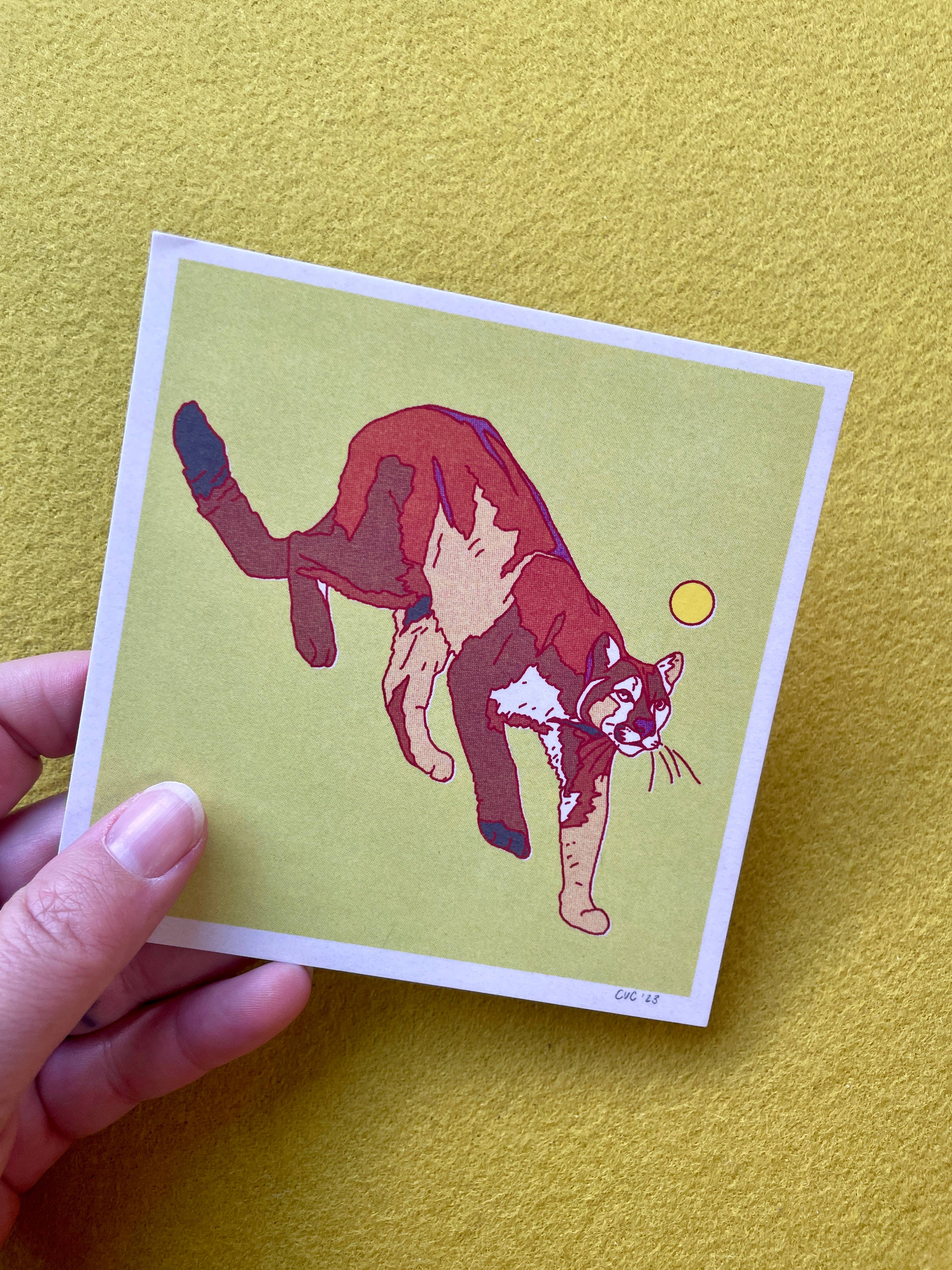 Caroline Clark - Desert Animal Postcard Set | The Forest Store