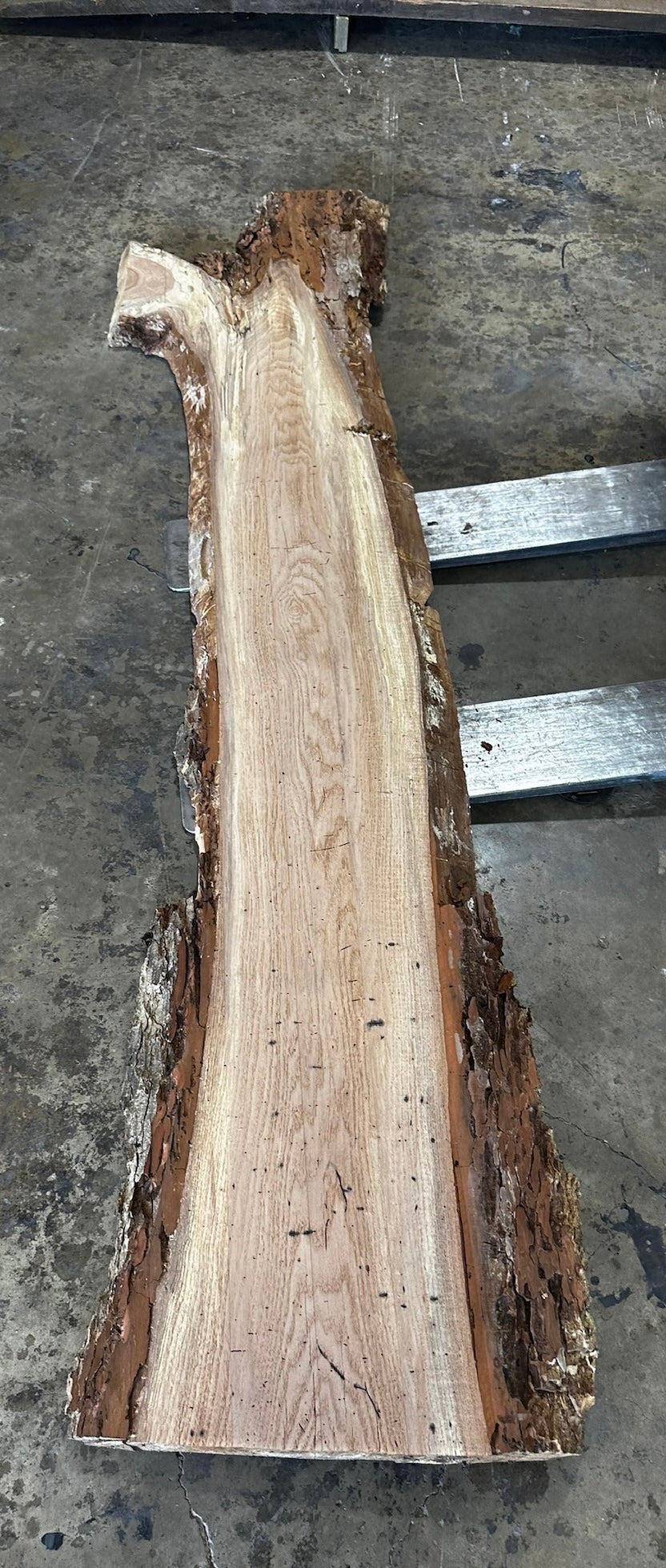 Unfinished Live Edge Pecan Slab (ULES-2335) | The Forest Store