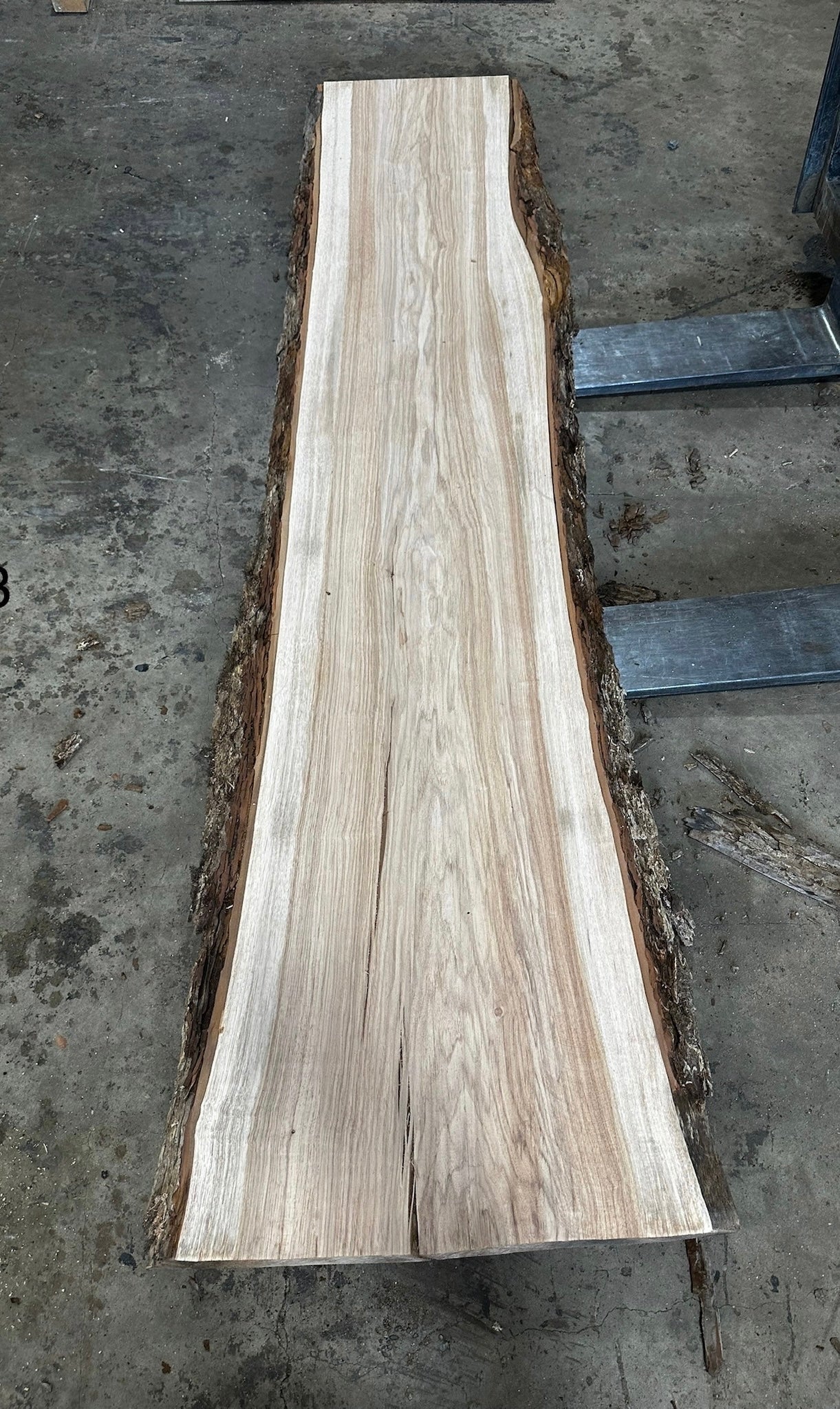 Unfinished Live Edge Pecan Slab (ULES-2355) | The Forest Store