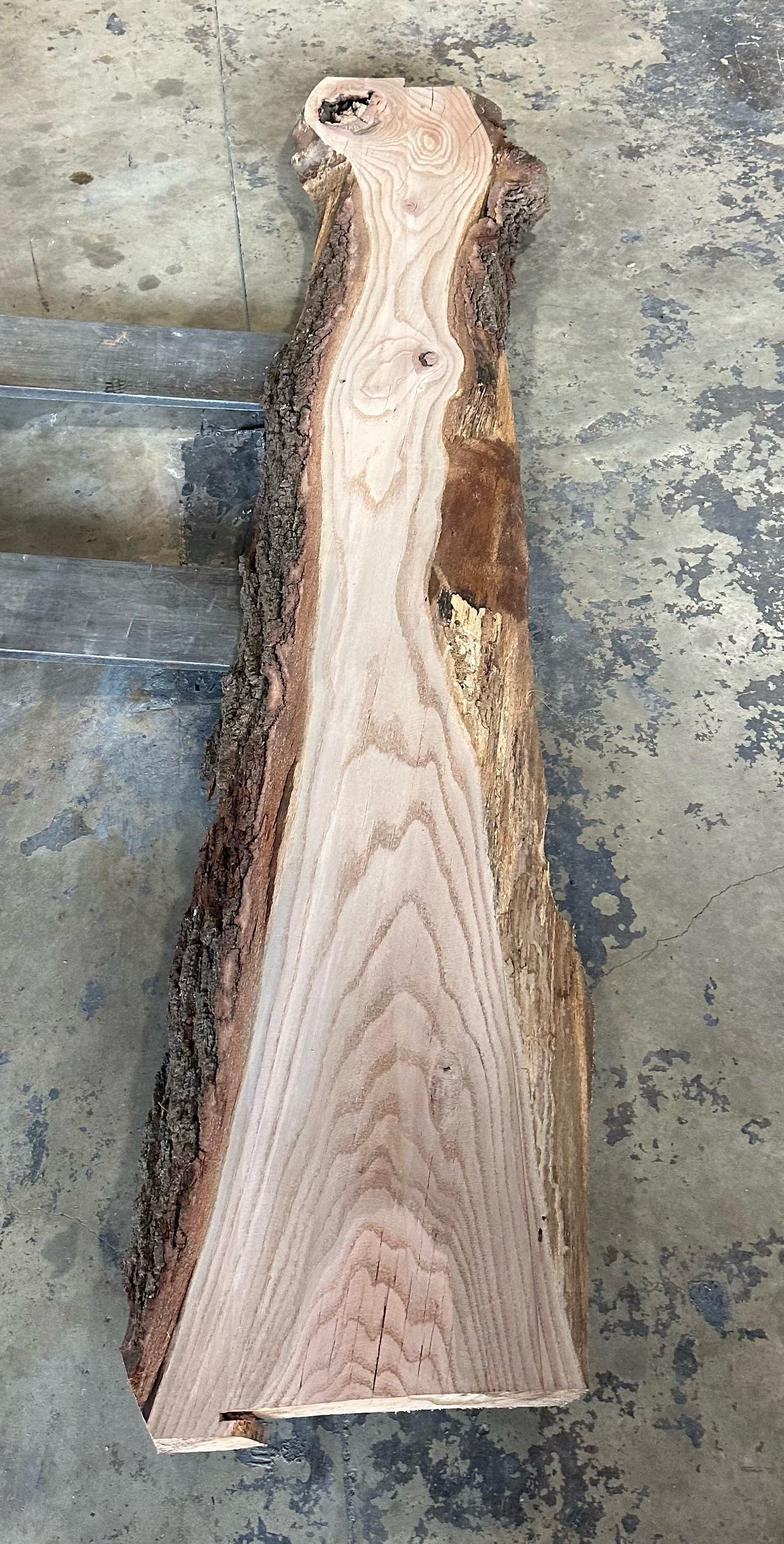 Unfinished Live Edge Red Oak Slab (ULES-2342) | The Forest Store