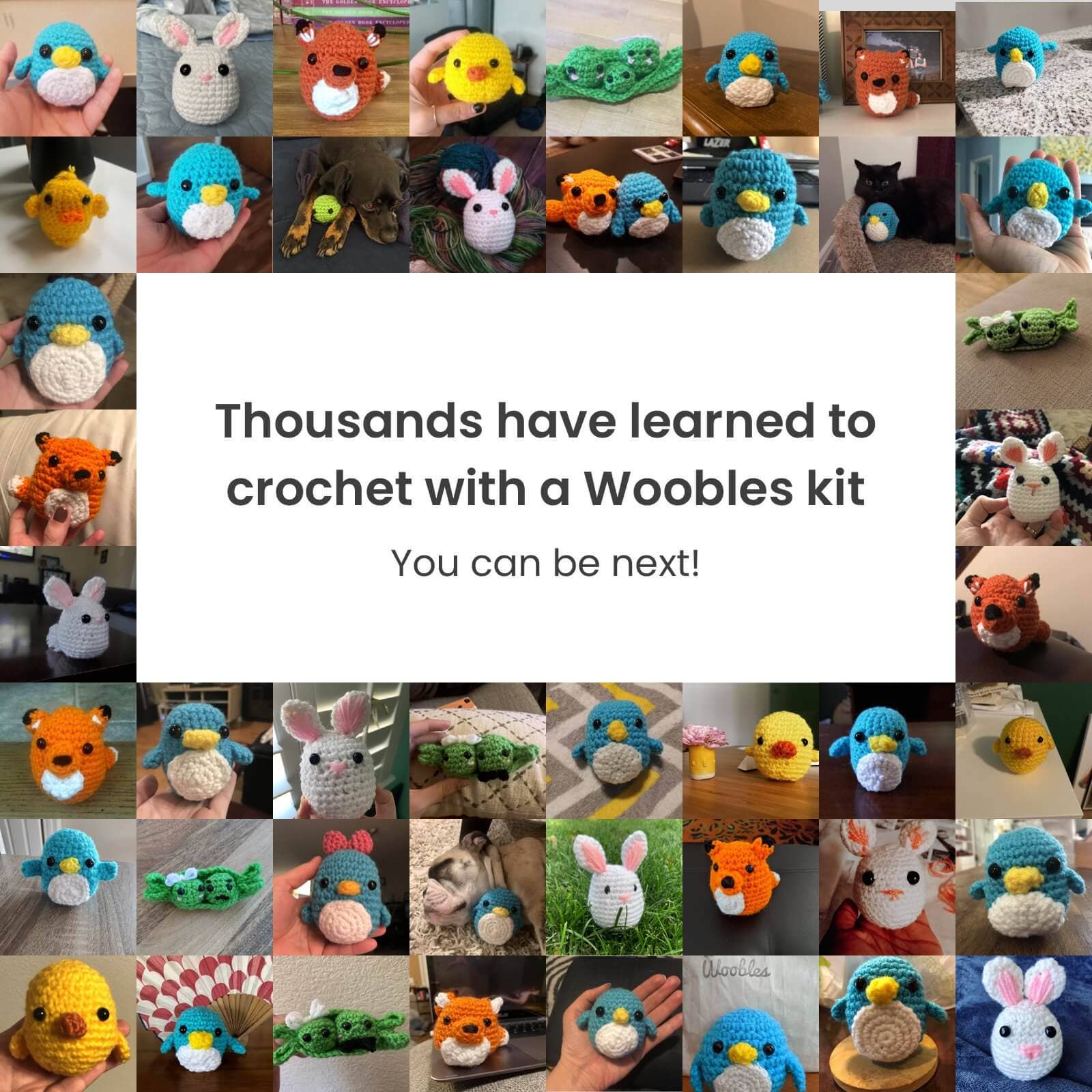 The Woobles - Pierre the Penguin Beginner Crochet Kit | The Forest Store