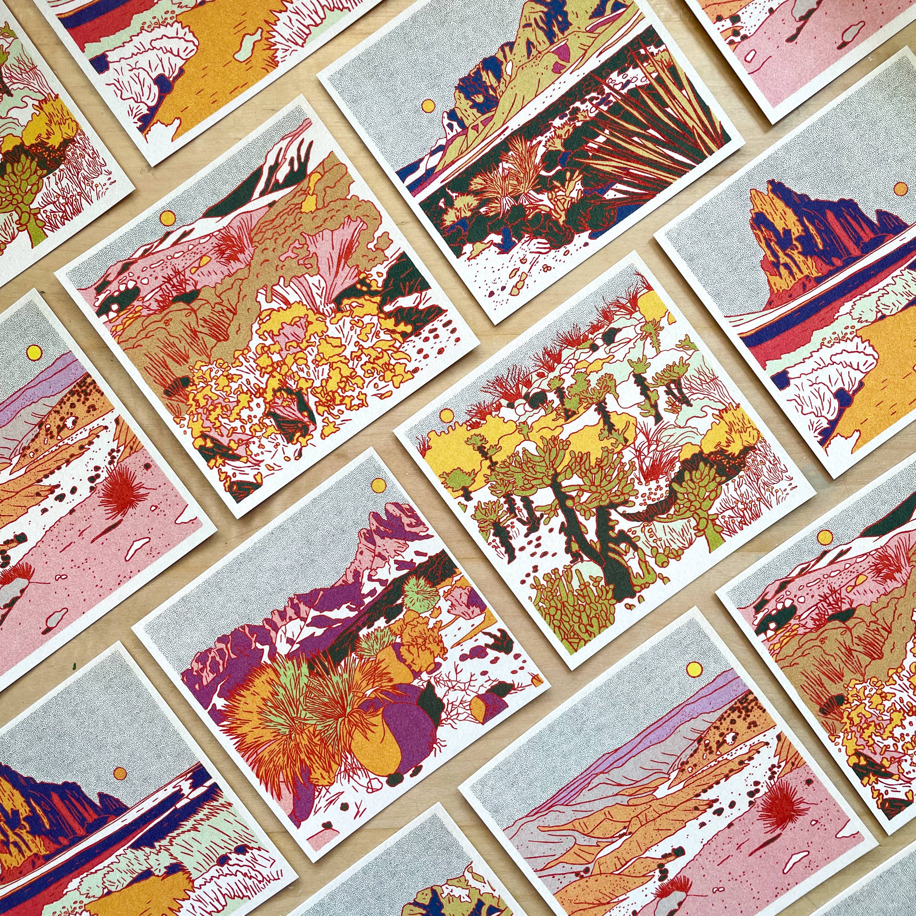 Caroline Clark - Morning Desert Postcard Set | The Forest Store