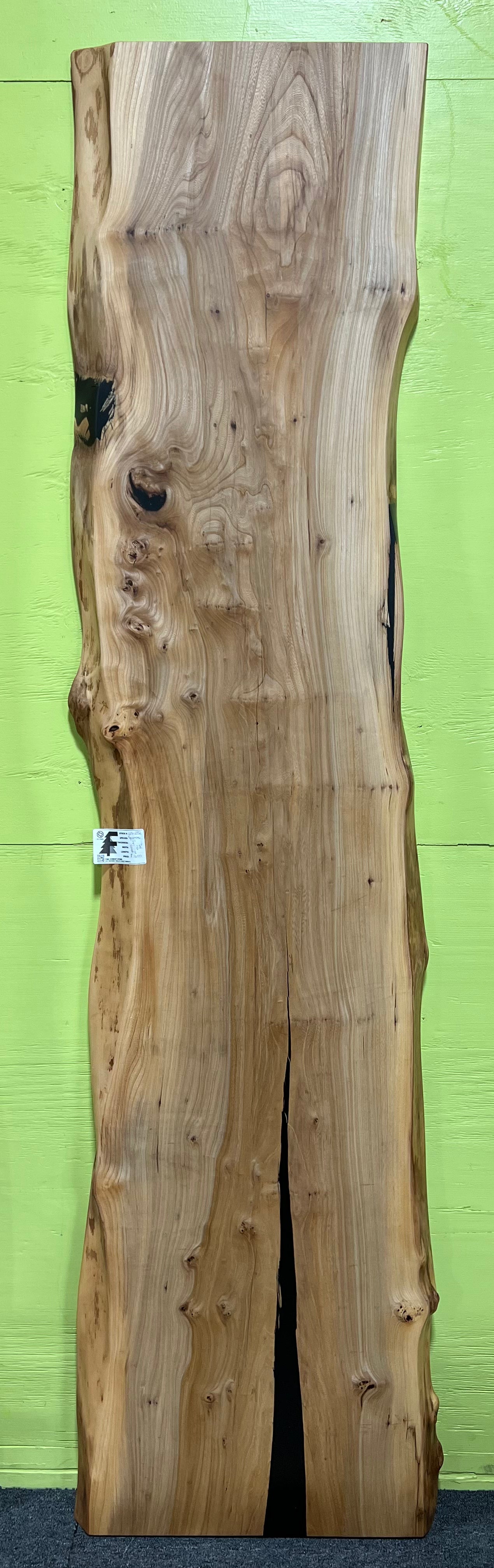 Live Edge Sycamore Slab | The Forest Store