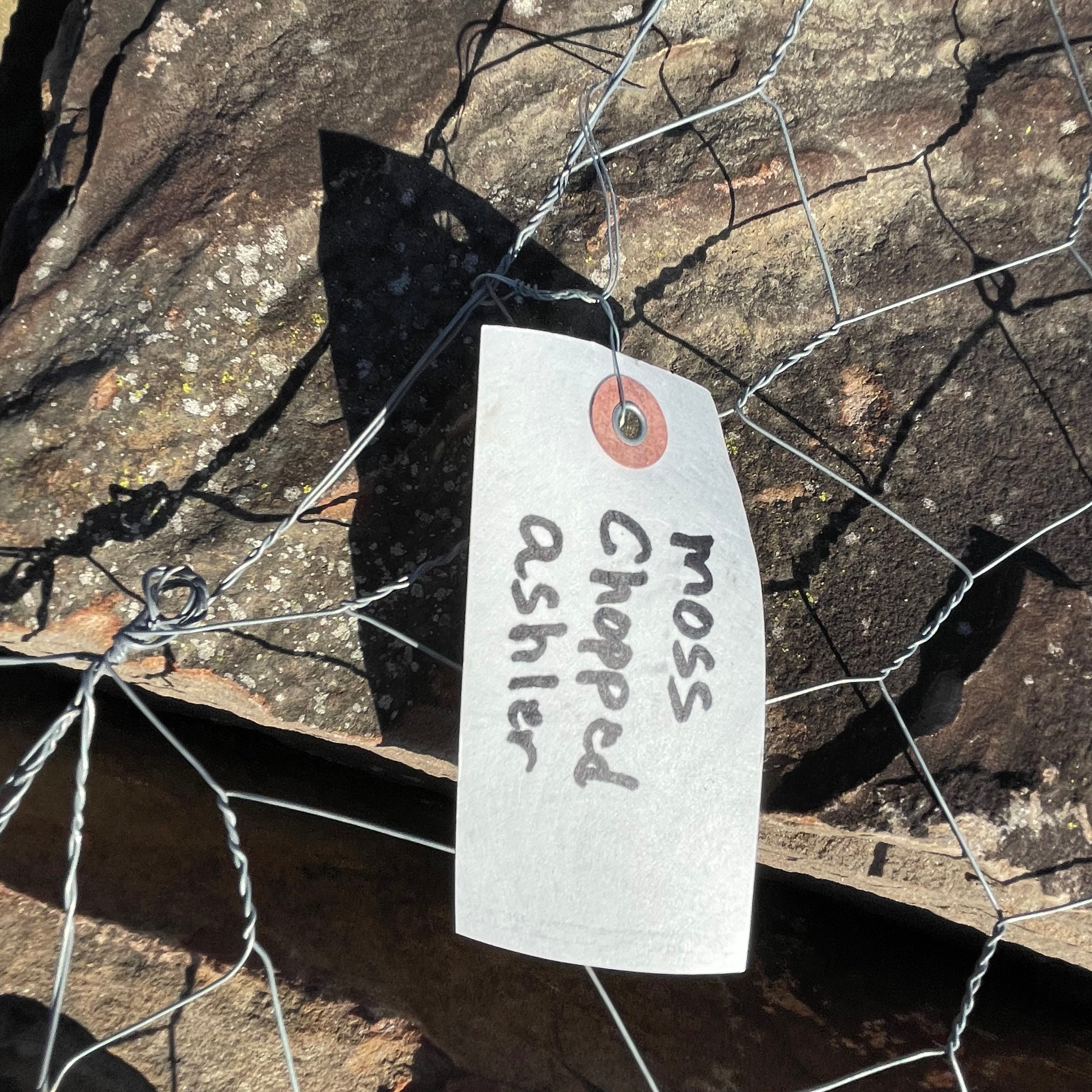 Stone | The Forest Store